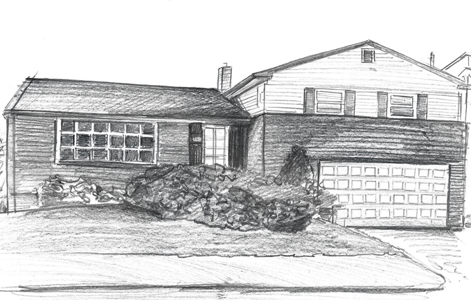 draw a pencil portrait, drawing of building, car, landscape or anything