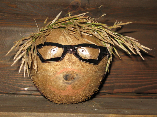 create a coconut face/avatar of you | fiverr