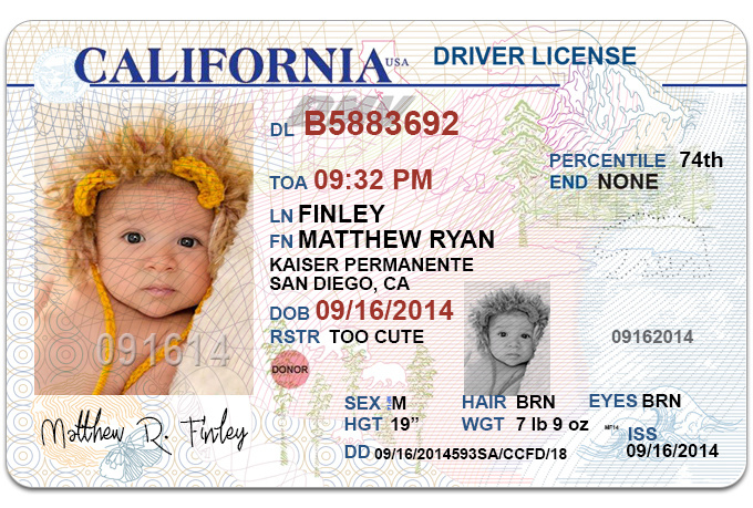 Blank Drivers License Template