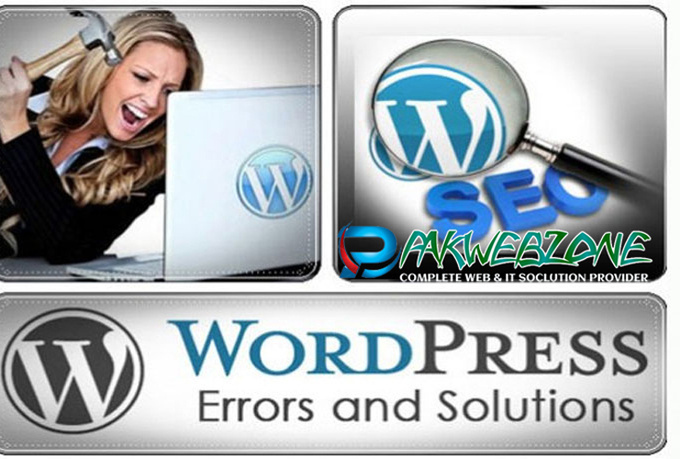 fix wordpress Problems with in 24 hours - fiverr